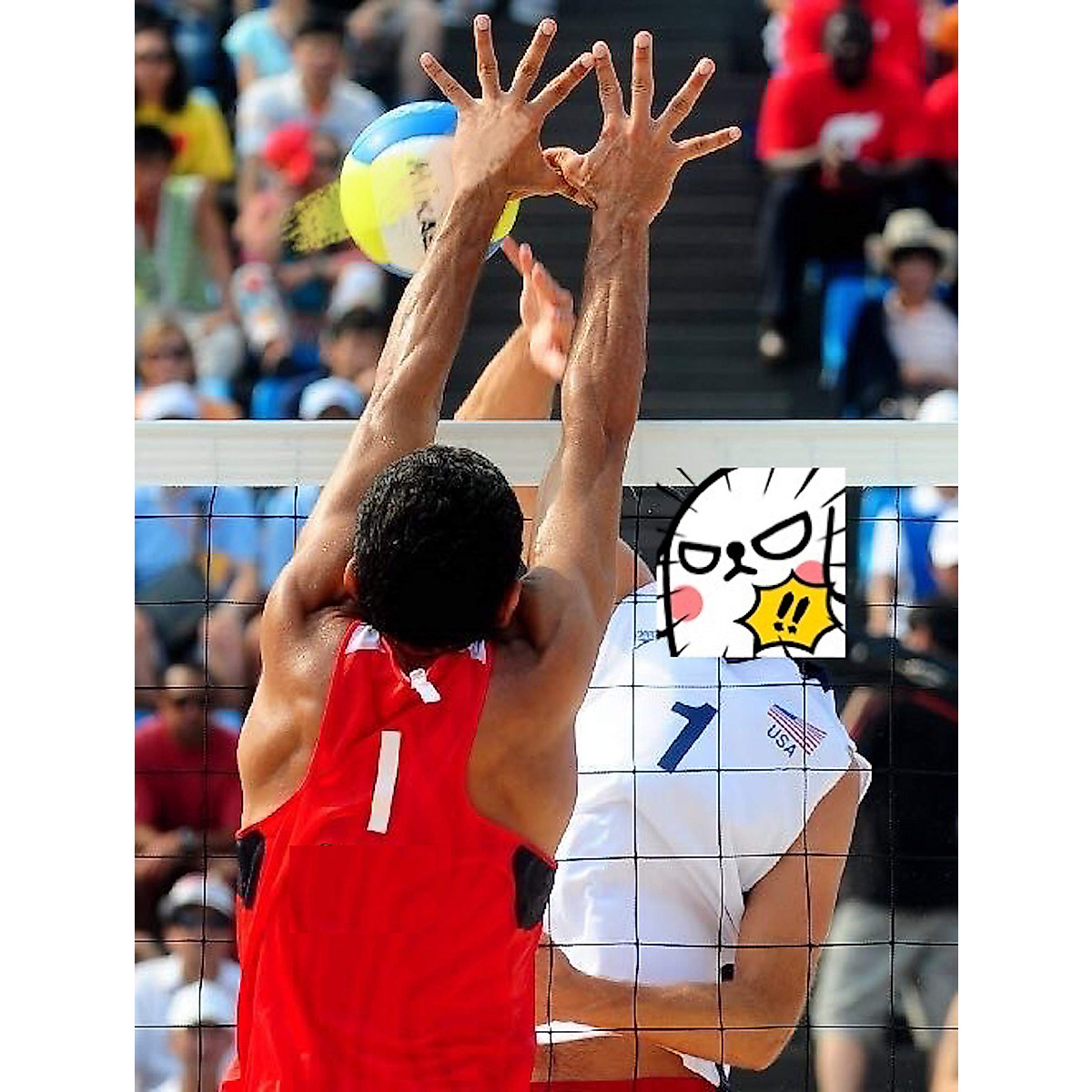 Professional Volleyball Net Outdoor with Aircraft Steel Cable, Heavy Duty Volleyball Net for Backyard, 32x3FT Portable Volleyball Net for Pool Schoolyard Beach, Badminton/Pro Volleyball Net Set