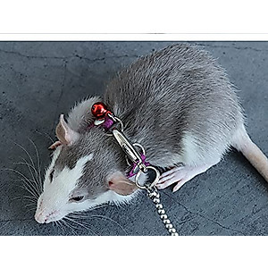Adjustable Fancy Rat Hamster Harness Rat Guinea Pig Training Walking with Bell Leather Leash Reptile Harness Suitable for Small, Medium，Large Rats or Reptiles (Purple)