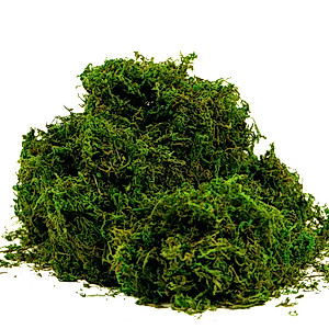 BYHER Artificial Moss Fake Green Grass for Centerpieces Home Kitchen Garden Decor (8OZ, Fresh)