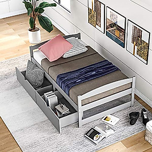 Lifeand Twin Size Daybed with 2 Drawers,Wood Storage Platform Bed for Kids Teens and Adults,No Box Spring Needed