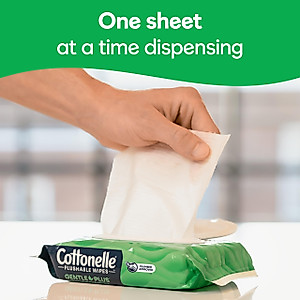 Cottonelle GentlePlus Flushable Wet Wipes with Aloe & Vitamin E, 6 Flip-Top Packs, 42 Wipes Per Pack (252 Total Wipes), Packaging May Vary