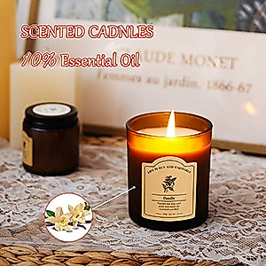 Vanilla Scented Candles for Home, All Natural Soy Wax Candles with Essential Oils, Highly Scented Beeswax Candles, Aromatherapy Candles for Sleep Aid, 9.2oz, Clean Burning(Vanilla, Coconut)