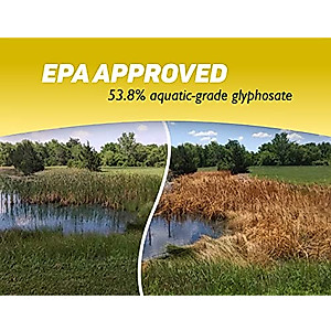 Sanco Industries Catt Plex Herbicide - Aquatic Grade - Works on Cattails, Pond Weeds, Water Lilies, Grass - One Quart 32oz