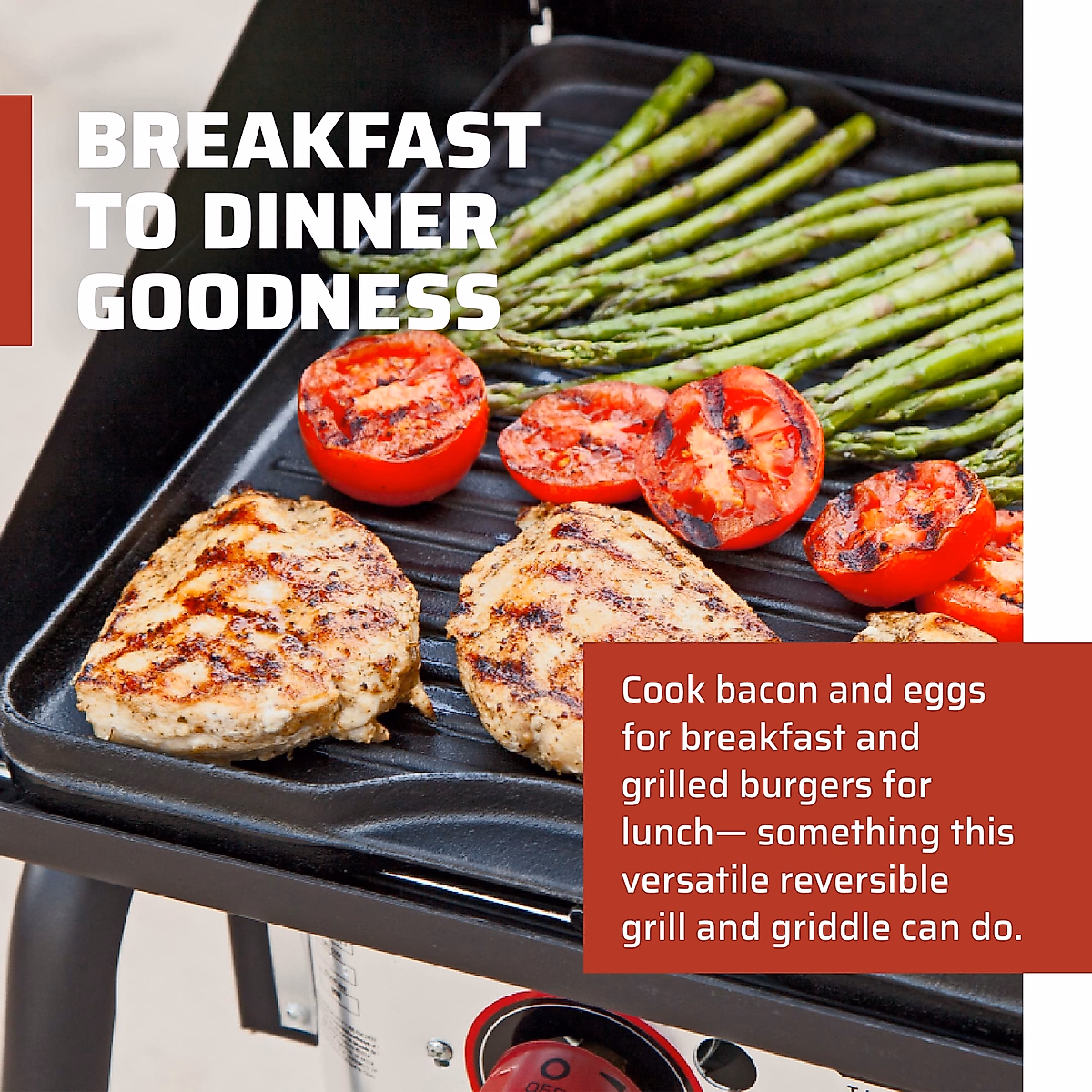 Camp Chef Reversible Pre-Seasoned Cast Iron Griddle (14 in. x 16) and Griddle Bag