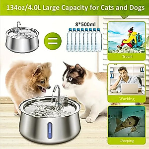 Cat Water Fountain,4L Automatic Stainless Steel Pet Fountain with LED Light Water Level Window,Dog Water Dispenser for Multiple Pets Drinking