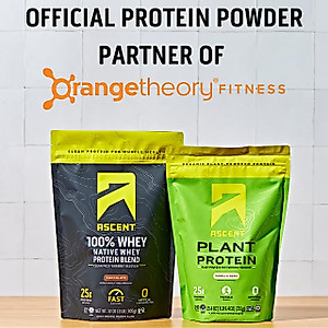 Ascent 100% Whey Protein Powder - Post Workout Whey Protein Isolate, Zero Artificial Flavors & Sweeteners, Soy & Gluten Free, 5.5g BCAA, 2.6g Leucine, Essential Amino Acids, Vanilla Bean 2 lb