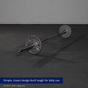 Titan Fitness 25 LB Cast Iron Olympic Plates, Sold In Pairs, Classic Weight Plate Design, Silver Hammer Finish