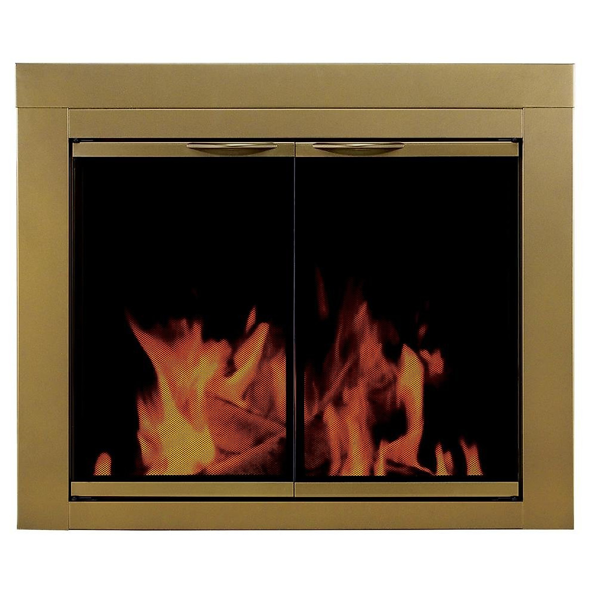 Pleasant Hearth Ashlynn Collection Fireplace Glass Door