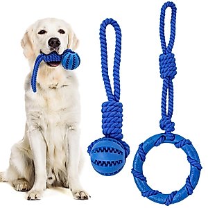CANINE CANYON Dog Chew Toys 2 Pack, Dog Toys for Teeth Cleaning, Teething Rubber Ring & Ball with Cotton Rope Dog Toys to Keep Them Busy with Tug of War, Fetching, for Puppies, Small & Medium Dogs