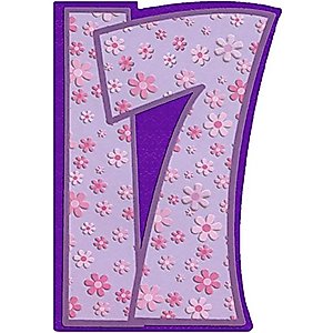 Designer Greetings Large 17 with Purple Foil Die Cut Age 17 / 17th Birthday Card for Her