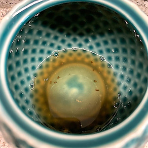 Fruit Fly Jar Trap for Kitchens - Decorative, Effective, Kid and Pet Friendly (White)