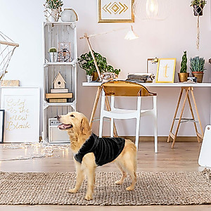 EXPAWLORER Dog Hoodie with Pocket, Polar Fleece Dog Sweatshirt Fall Cold Winter Sleeveless Sweater with Hood, Warm Cozy Pet Clothes for Small to Large Dogs Boys and Girls (Black, XXL)