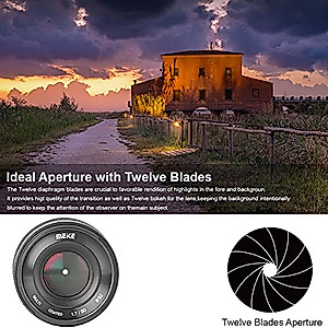 Meike 50mm F1.7 Full Frame Large Aperture Manual Focus Lens for Panasonic Lumix Sigma Leica L-Mount Mirrorless Camera Such as S1, S1R,S1H, S5, FP…