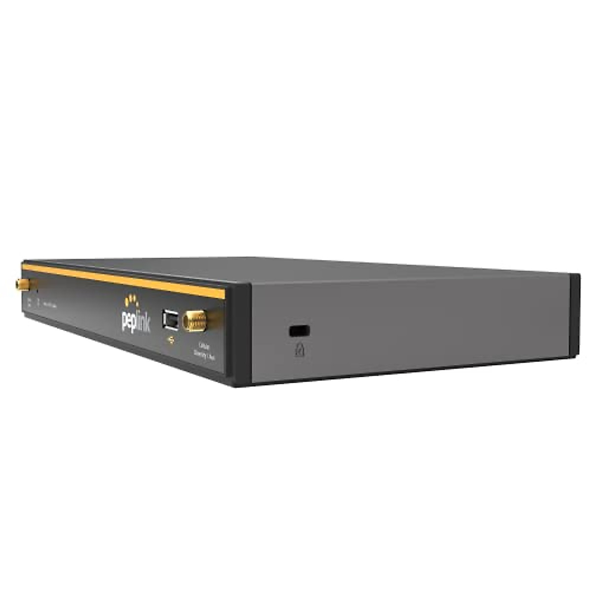 Peplink Balance 20X [CAT-4] | Futureproof Gigabit Dual WAN Router | LTE-A FlexModule Mini upgradable | Inclusive 1 Year PrimeCare Warranty | BPL-021X-LTE-US-T-PRM