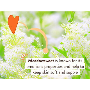 Babo Botanicals 70+% Organic Sensitive Baby All Natural Healing Ointment with Medical Grade Colloidal Oatmeal, Unscented 4 Ounce