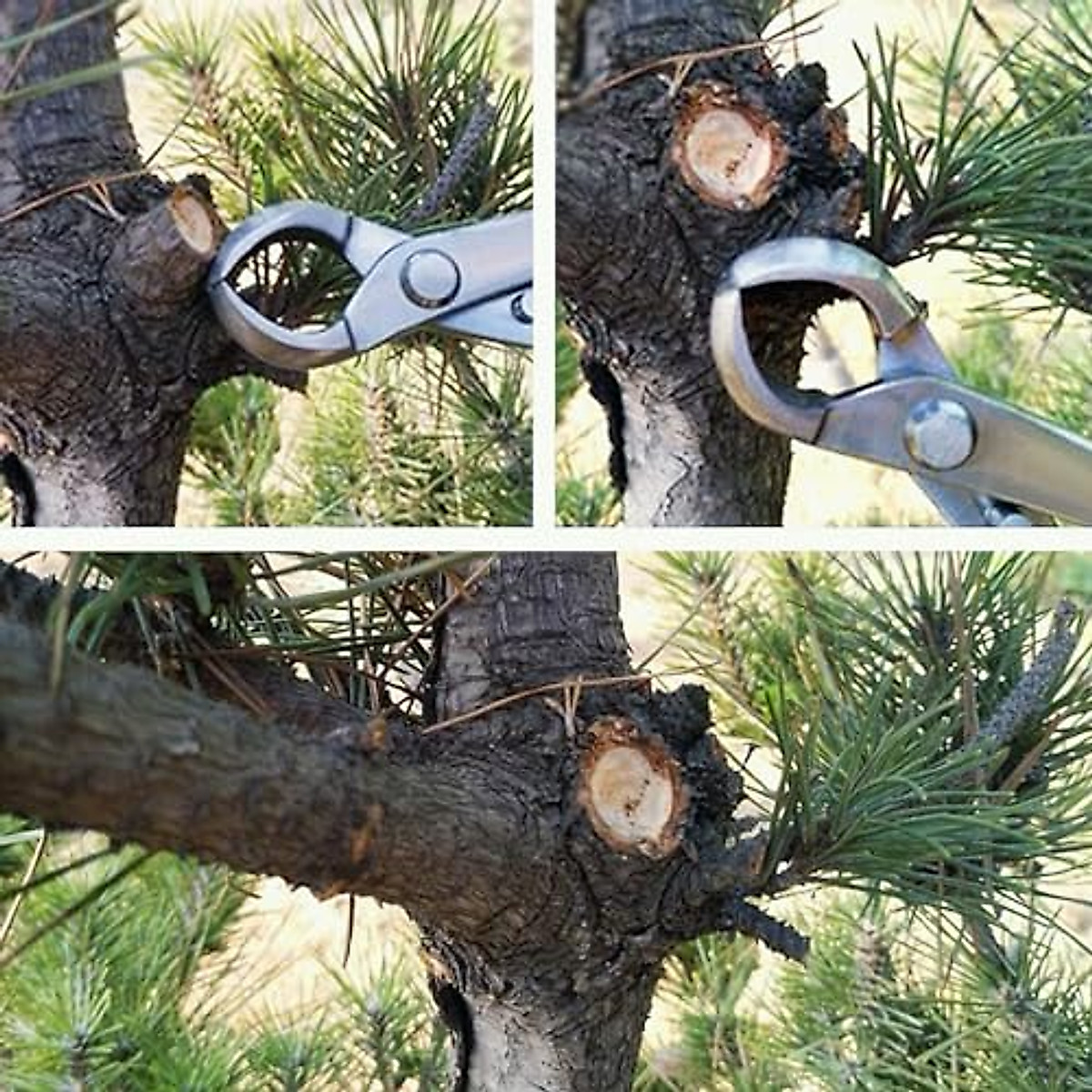 Bonsai Tools Concave Cutter Knob Cutter 180 mm Bonsai Cutters Branch Cutter Bonsai Scissor Tree Clippers Bonsai Pruning Bonsai Trimmer Gardening Tools