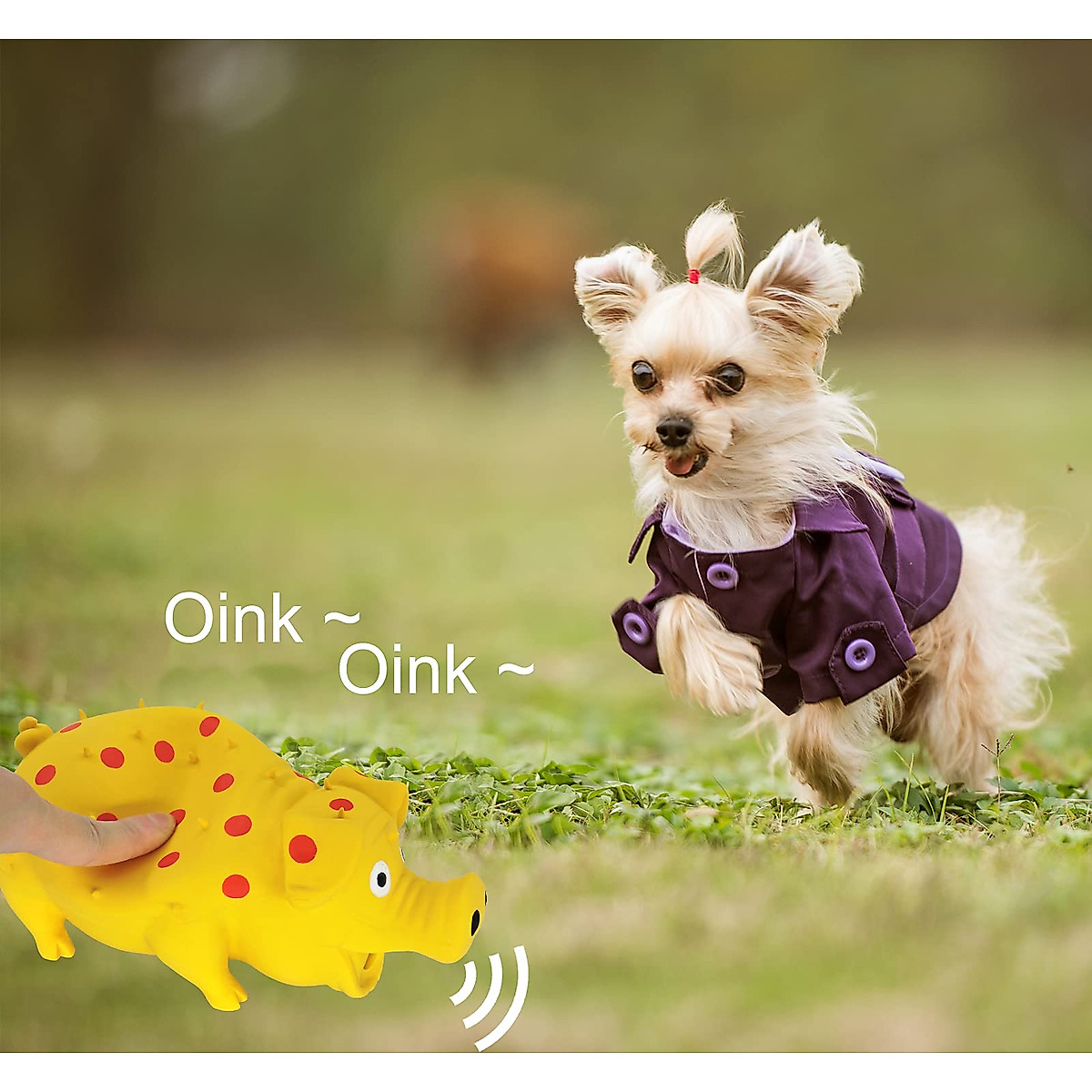 Andiker Dog Squeaky Toy, Dots Latex Dog Chew Toys with a Oinks Sound Squeaker Grunting Pig Dog Toy Durable Self Play 8" Dog Squeeze Toy for Dental Biting Chasing to Kill Boring Time (Yellow)