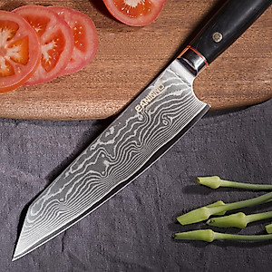 EANINNO Damascus Chef Knife 8 Inch Japanese Kitchen Knife, Sharp Professional Chefs Knife 67 Layers High Carbon Damascus Stainless Steel Vg10 Cutting Knife