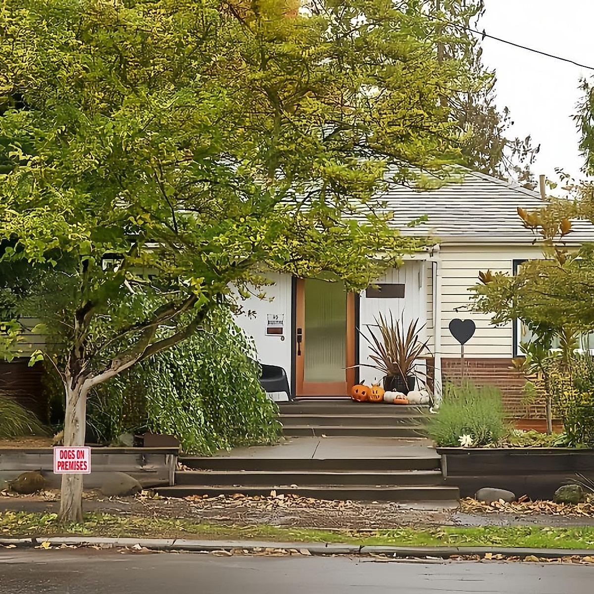 2-Pack Dogs On Premises Sign, 10"x 7" .04" Aluminum Reflective Sign Rust Free Aluminum-UV Protected and Weatherproof