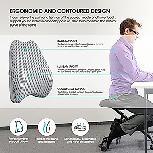 Bipintip Lumbar Support Office Chair with Adjustable Strap and Washable Cover - Back Cushion for Couch,Recliner,Car,Desk Chair - Lumbar Pillow Back Pain Relief,Improve Posture(Gray)