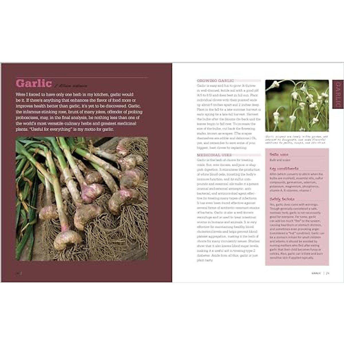 Rosemary Gladstar's Medicinal Herbs: A Beginner's Guide: 33 Healing Herbs to Know, Grow, and Use