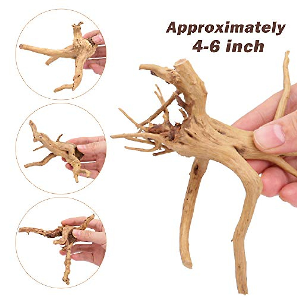 SERJOOC 6Pcs Aquarium Driftwood Spider Wood Ornament for Fish Tank Natural Branches Decorations (4in-6in)