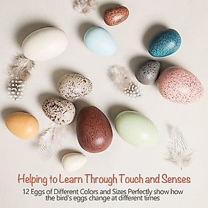 OESSUF Easter Eggs Wooden Fake Play Eggs for Toddlers Pretend Easter Egg Decor for Play Kitchen Artificial Decorative Eggs for Crafts Toy Food (12PCs)