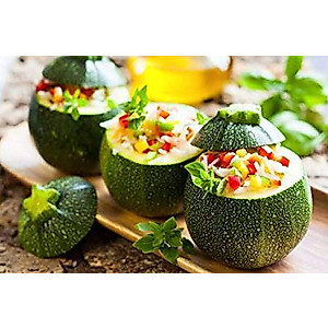 Round Zucchini Summer Squash Seeds for Planting, (Eight Ball Zucchini), 40+ Heirloom Seeds Per Packet, (Isla's Garden Seeds), Non GMO Seeds, Botanical Name: Cucurbirta Pepo