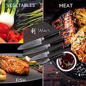 Wakoli 4 Piece Professional Damascus Kitchen Knife Set, Made of 67 Layers of Genuine Damascus Steel with VG10 Core, Chef's Knives Set with Ergonomic Micarta Handles for Precision and Comfort (MIK)