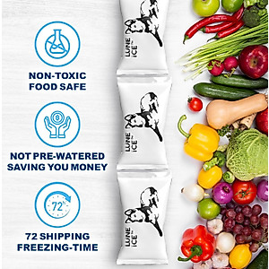 Ice Pack Bulk-Dry Ice for Shipping Frozen Food-Lunch Box Ice Packs-3 Pounds-24+Hours-Slim 15x12in/5x3in-Reusable ice Packs-Freezer Packs-Ice Packs Shipping-Dry ice Packs for shipping-12 Pack-BPA Free