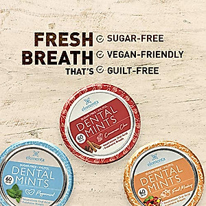 Elementa Natural Sugar Free Hard Candy Breath Mints, Low Carb with Xylitol for Improved Oral Care | Non-GMO + Vegan Friendly, Neutralizes Oral Acid, Soothes Dry Mouth | Fruit Mashup 60 Count