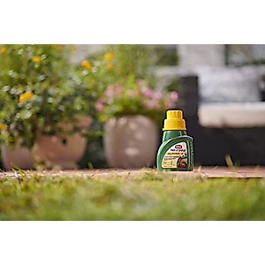 Ortho Tree & Shrub Fruit Tree Spray, 16-Ounce