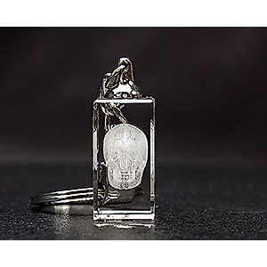 Blue Tree Publishing Skull and Brain 3d Laser Key Chain Crystal, Anatomy