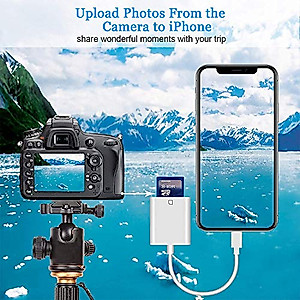 Apple MFi Certified Lightning to SD Card Camera Reader for iPhone iPad, Veetone SD Card Reader Memory Card Reader Trail Camera Viewer SD Card Adapter for iPhone 12/11/XS/XR/X/8/7/iPad, Plug and Play