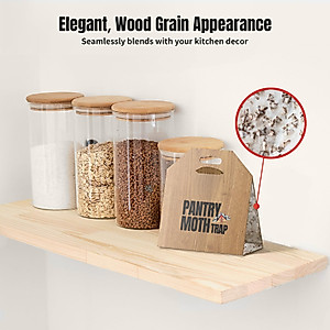 POPTRAP 10 Pack Pantry Moth Traps, Non-Toxic Glue Moth Trap for Food and Cupboard, Traps with Natrual Pheromones, Wood Grain Appearance for Pantry Moths