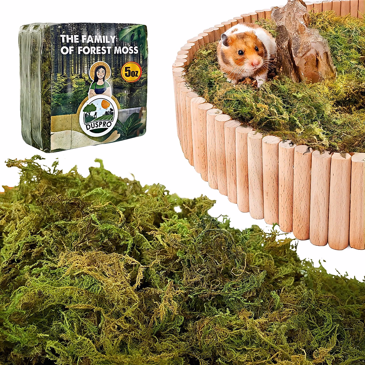 Duspro 5oz Hamster Bedding, Natural Forest Moss Bedding for Hamster, Hamster Bedding Odor Control, Decorate Hamster Hideout with Moss.