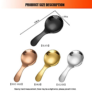 5PCS Short Handle Spoon, Stainless Steel Mini Spoons Thickened Small Round Spoon For Salt Condiments Dessert Tea Coffee (Black)