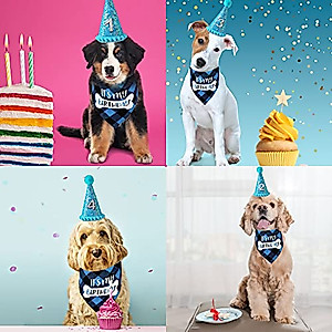AIITLE Dog Birthday Bandana, Plaid Scarf and Reusable Dog Boy Birthday Party Hat with Number, Small Medium Dog Cat Pet Birthday Party Supplies Blue