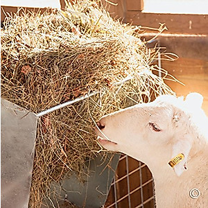 Premier Grain & Hay Feeder