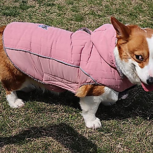 Small Dogs Reflective Windproof Pet Coat Winter Warm Dog Coat for Small Medium and Large Pet Clothes for Medium Dogs Girl