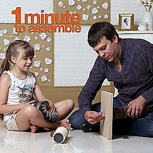 4 Paws Stuff Tall Cat Scratching Post Cat Interactive Toys - Cat Scratch Post Cats Kittens - Plush Sisal Scratch Pole Cat Scratcher - 22 inches (Beige)