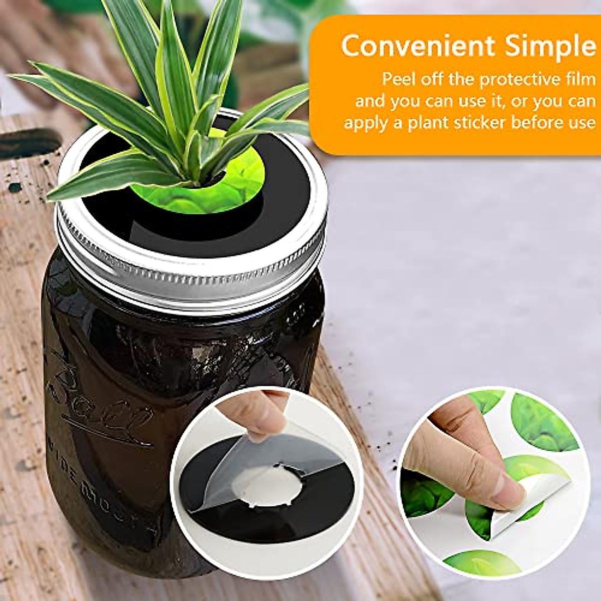 Kratky Lids Wide Mouth Hydroponic Garden Compatible with Aerogarden Mason Jar Indoor Planting Includes 10 Lids 10 Plant Labels 10 Planter Baskets 10 Charcoal