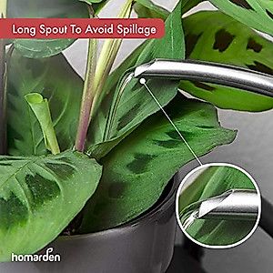 Homarden Stainless Steel Watering Can, Long Spout for No Spillage, Indoor/Outdoor Plants, Ideal 30 oz.
