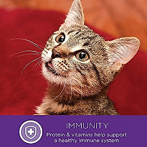 Wellness Complete Health Natural Grain Free Wet Canned Cat Food, Minced Salmon Entree, 3-Ounce Can (Pack of 24)