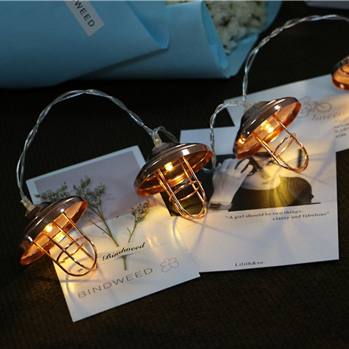 ARTSTORE Lantern String Lights Decorating Lights 10LED 1M Fairy Hanging Lights with Gold Metal Cage for Indoor Bedroom Bar Coffee Shope Fairy Garden Home Wedding Christmas Party