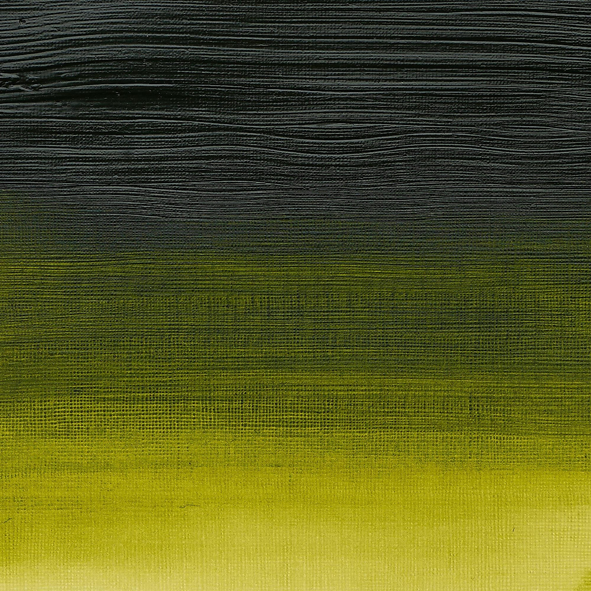 Winsor & Newton Professional Acrylic Paint, 200ml (6.75-oz) Tube, Permanent Sap Green