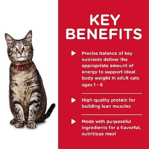 Hill's Science Diet Wet Cat Food, Adult, Savory Turkey Recipe, 5.5 oz. Cans, 24-Pack