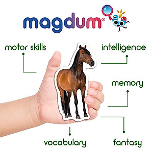 16 Fridge Magnets for Toddlers Magdum - Farm Photo Kids Magnets for Fridge - Toddler Magnets for Refrigerator - Magnetic Animals - Fridge Magnets for Kids - Animal Magnets - Toddler Fridge Magnets