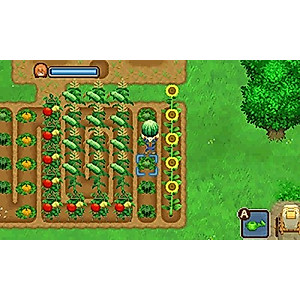 Bokujou Monogatari Futago no Mura+ JAPANESE VERSION For JAPANESE SYSTEM ONLY !!