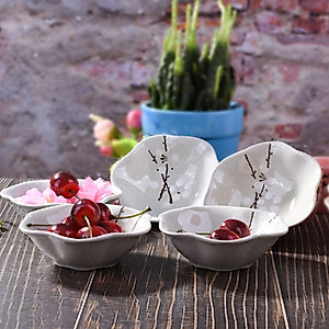 Whitenesser Japanese Style Side/Soy Sauce Dishes Set of 5, Asian Small Plates, Soy Sauce Dish Cream Soup Bowl And Saucer(White)